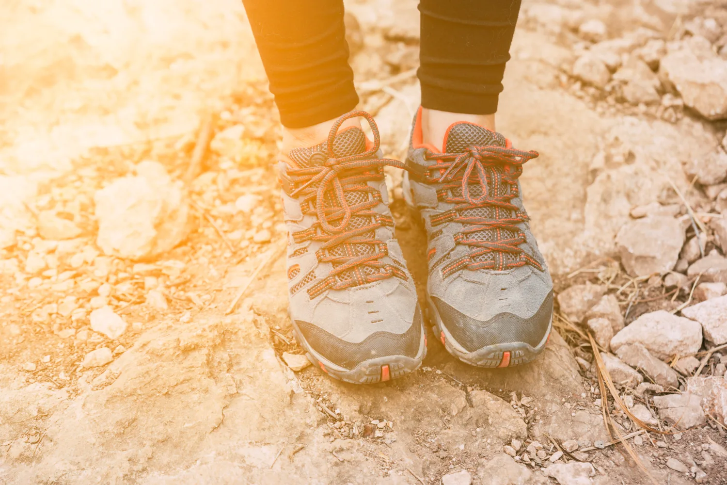Best Hiking Shoes: Top Picks for Every Trail in 2026 | Hikes & Trails